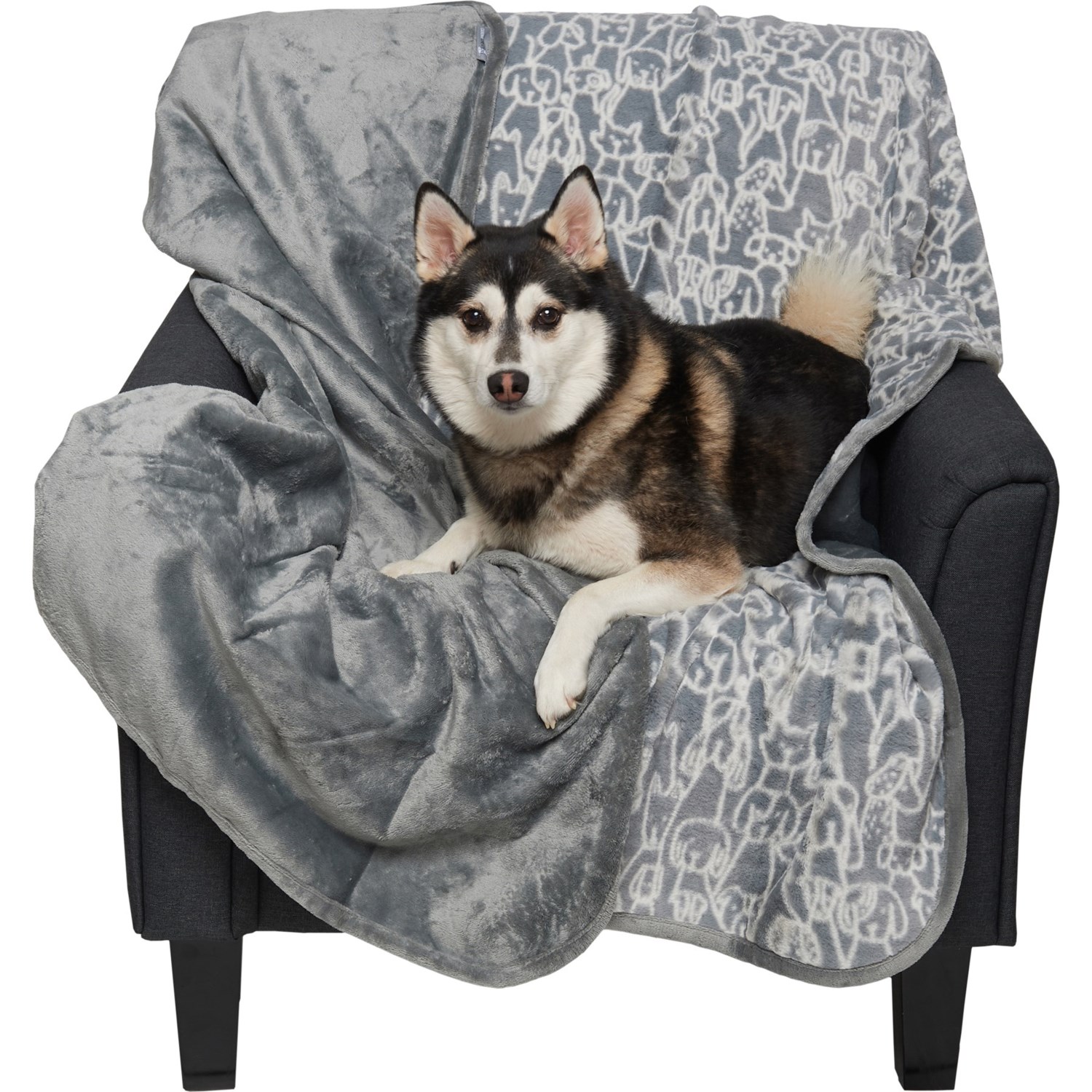 Canine Creations Faux Rabbit Fur Dog Throw Blanket with Waterproof ...