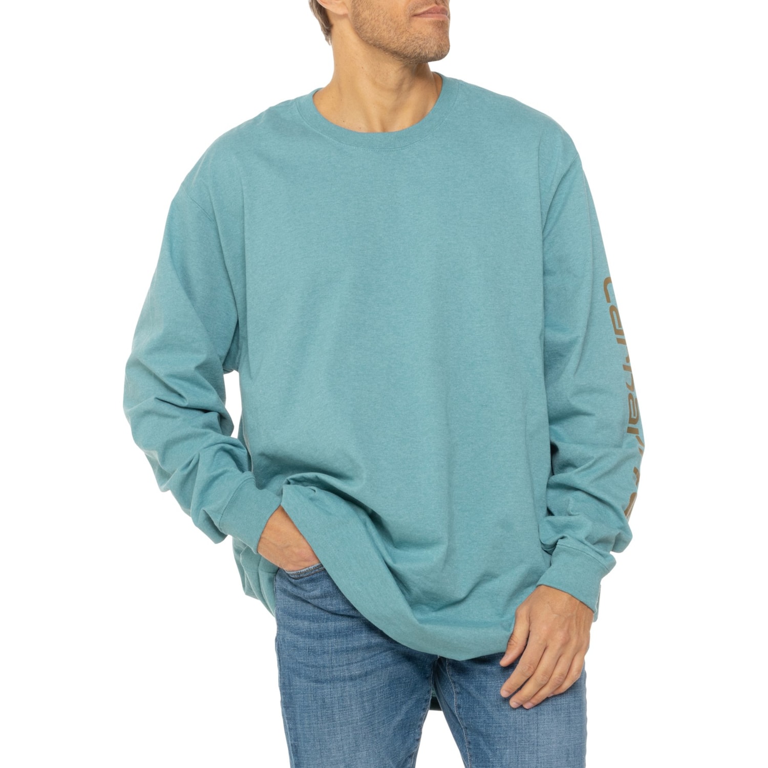 Carhartt K231 Big and Tall Loose Fit Heavyweight Logo Sleeve T-Shirt ...