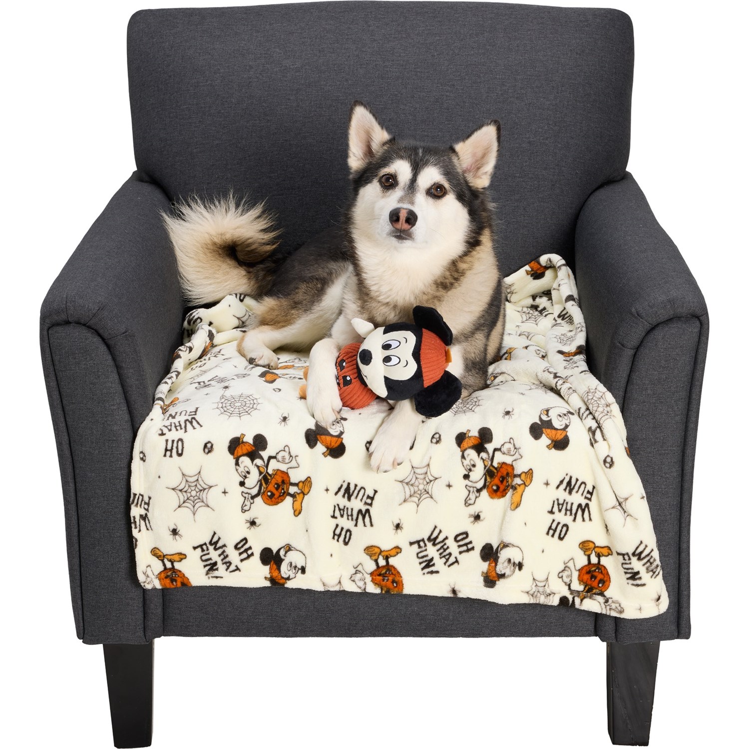 Disney Mickey Mouse Printed Dog Blanket and Toy Set - Save 44%
