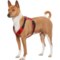 Gooby Pioneer Dog Harness - Red, Large - Save 34%