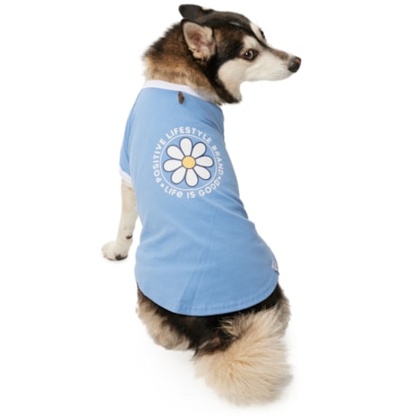 Life is Good® Dog T-Shirt - Save 41%