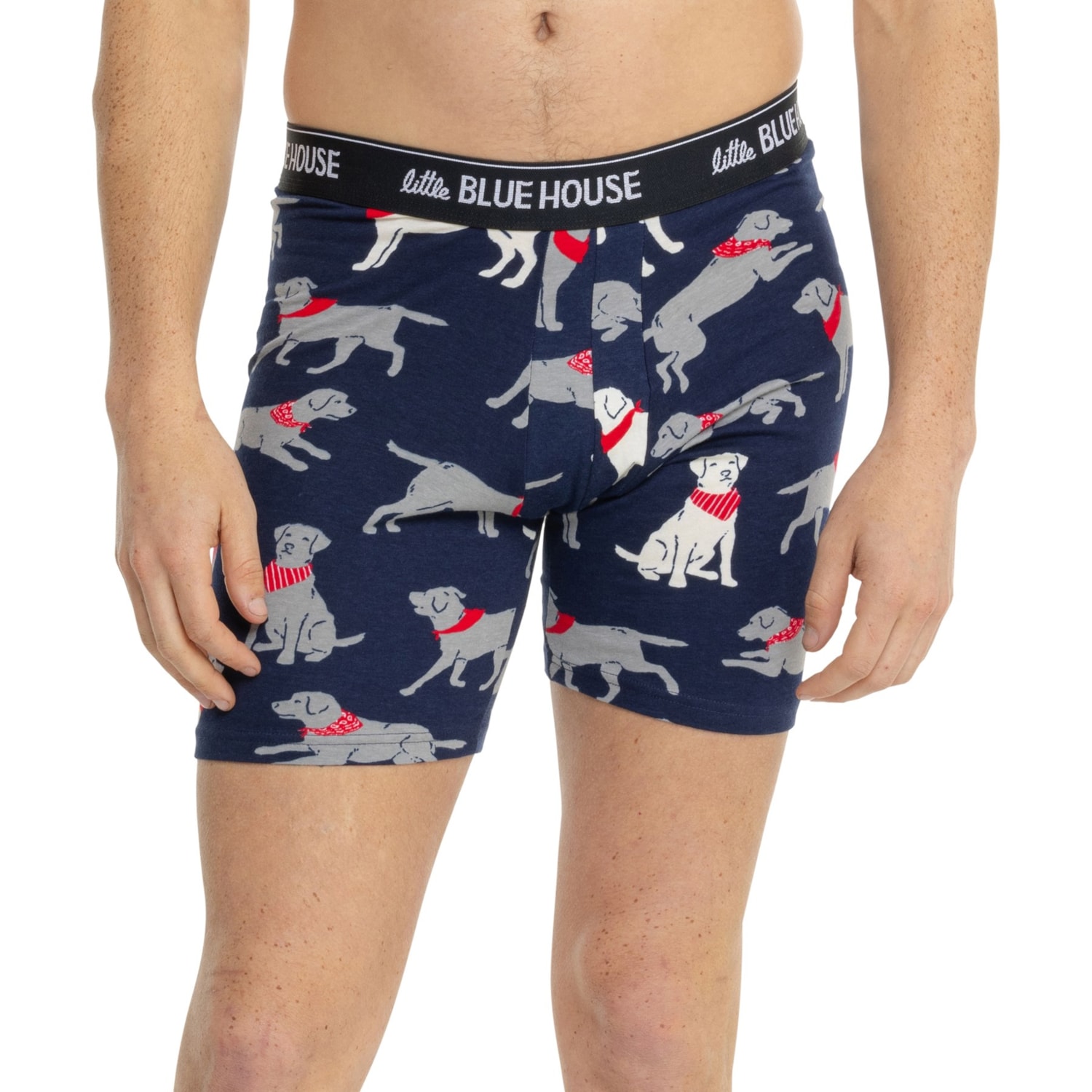 Little Blue House by Hatley Bandana Labs Boxer Briefs - Save 60%