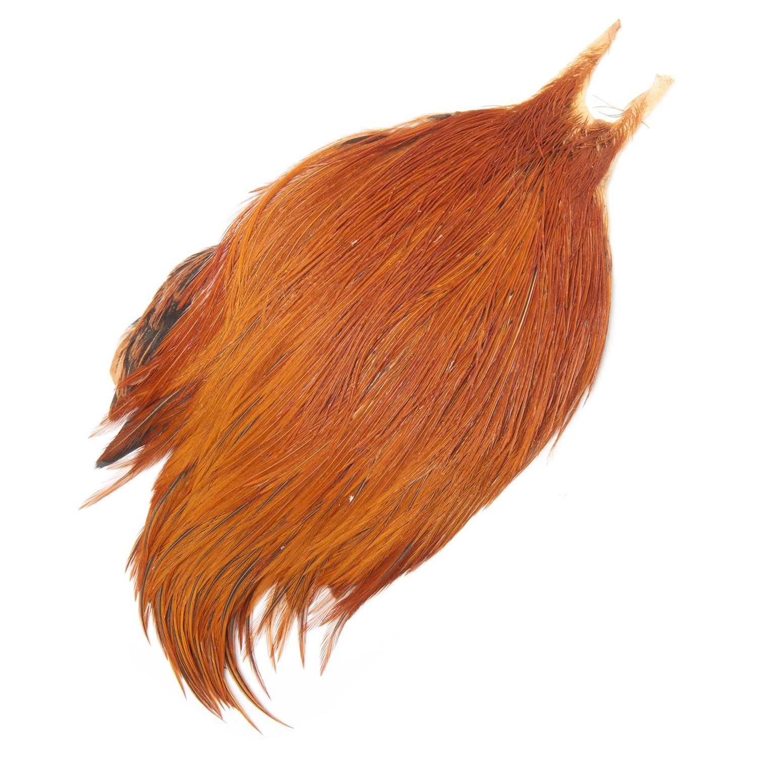 Metz #1 Neck Hackle Cape - Save 54%