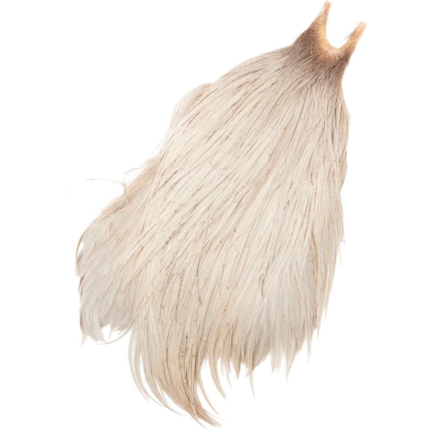 Metz #1 Neck Hackle Cape - Save 54%