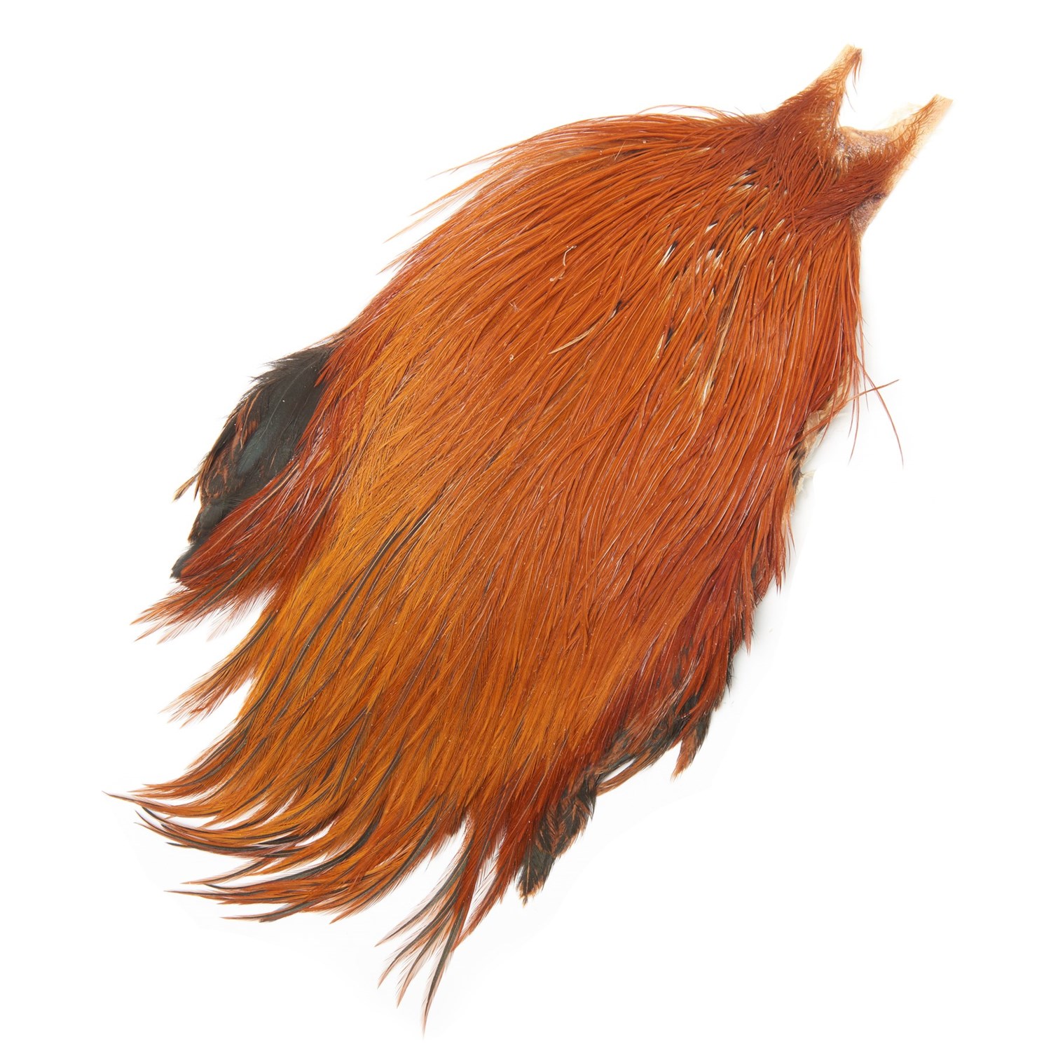 Metz #1 Neck Hackle Cape - Save 54%