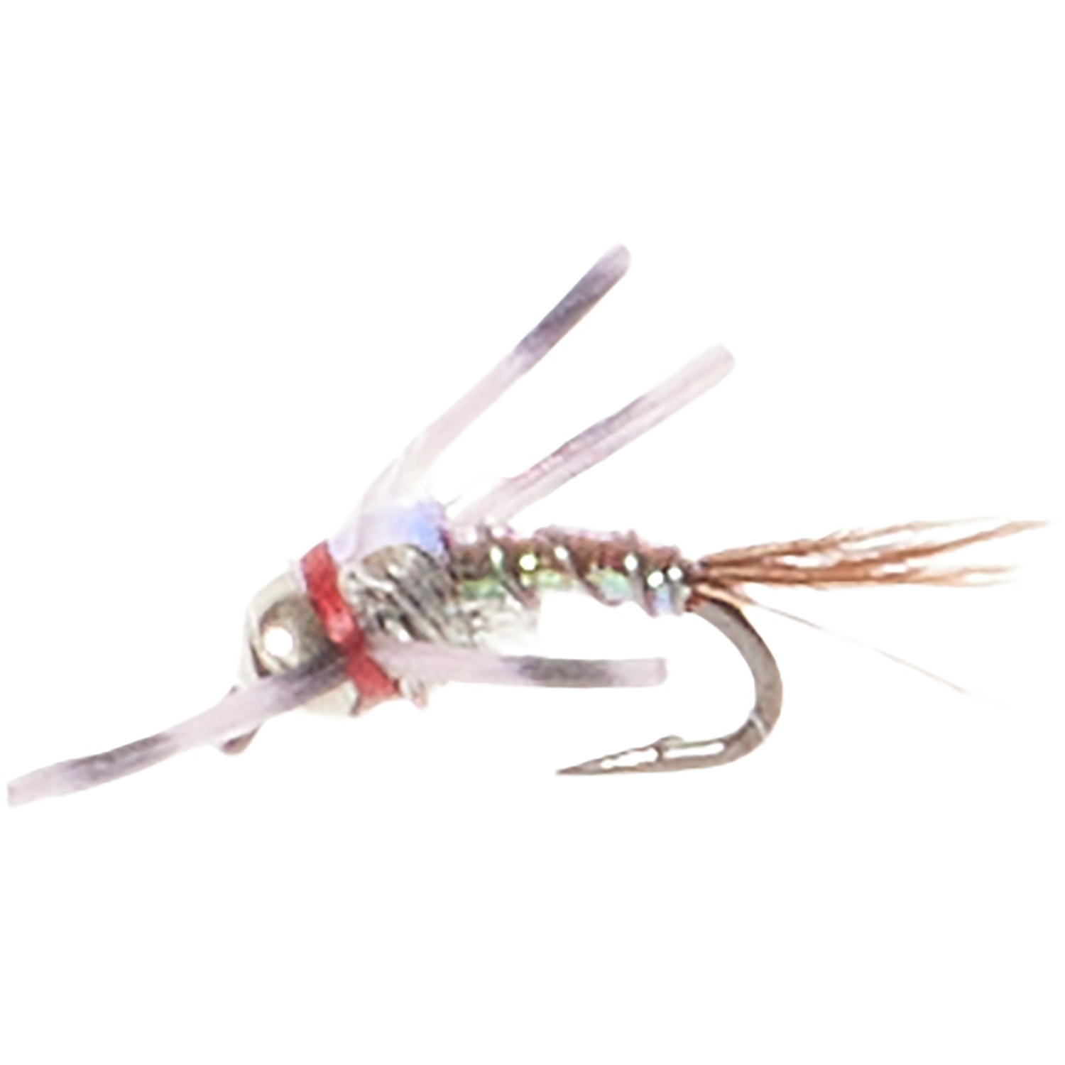 Montana Fly Company Tungsten Bead Head Rubberleg Sassi’s Solution Nymph ...