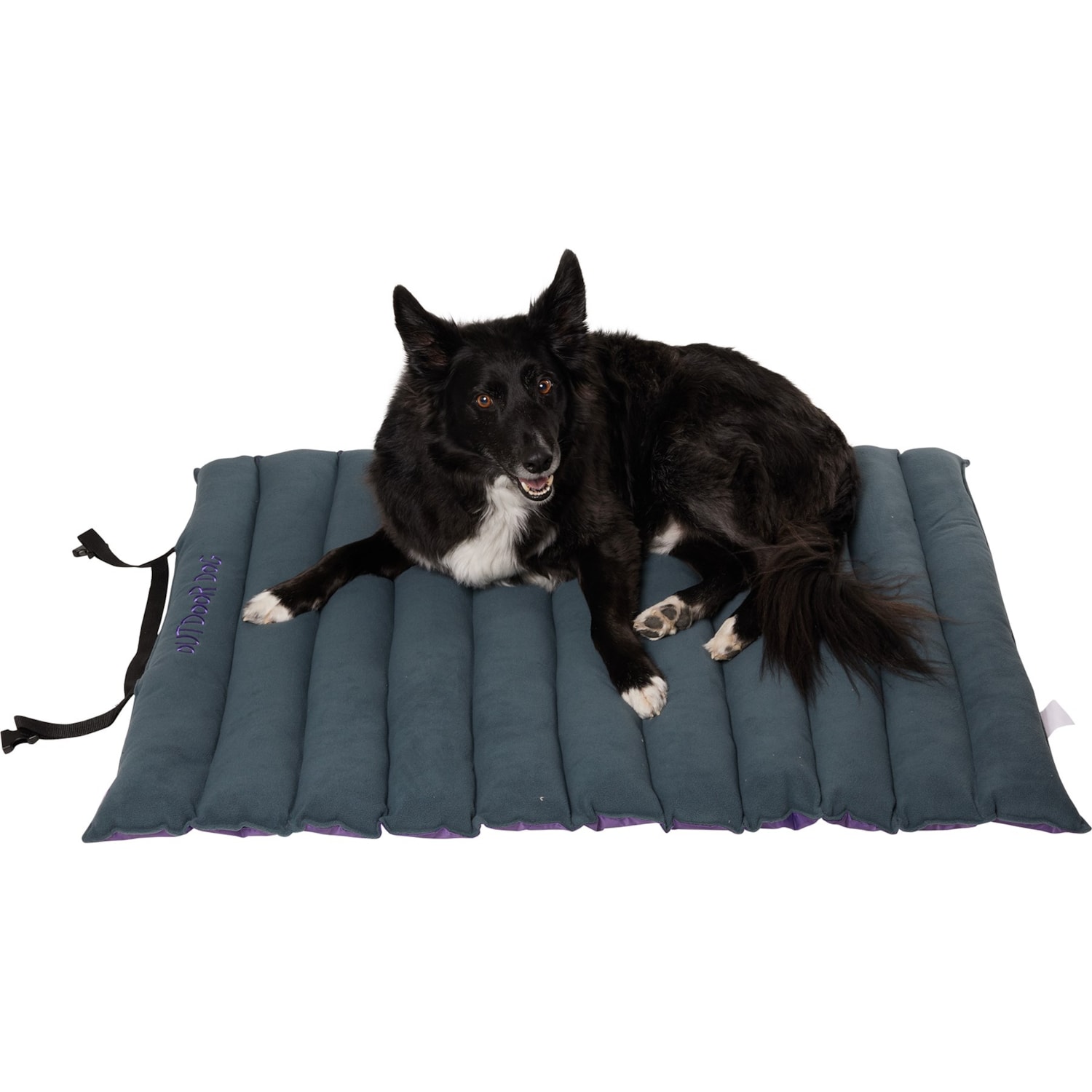 Outdoor Dog Roll-Up Travel Dog Bed - 45x33” - Save 57%