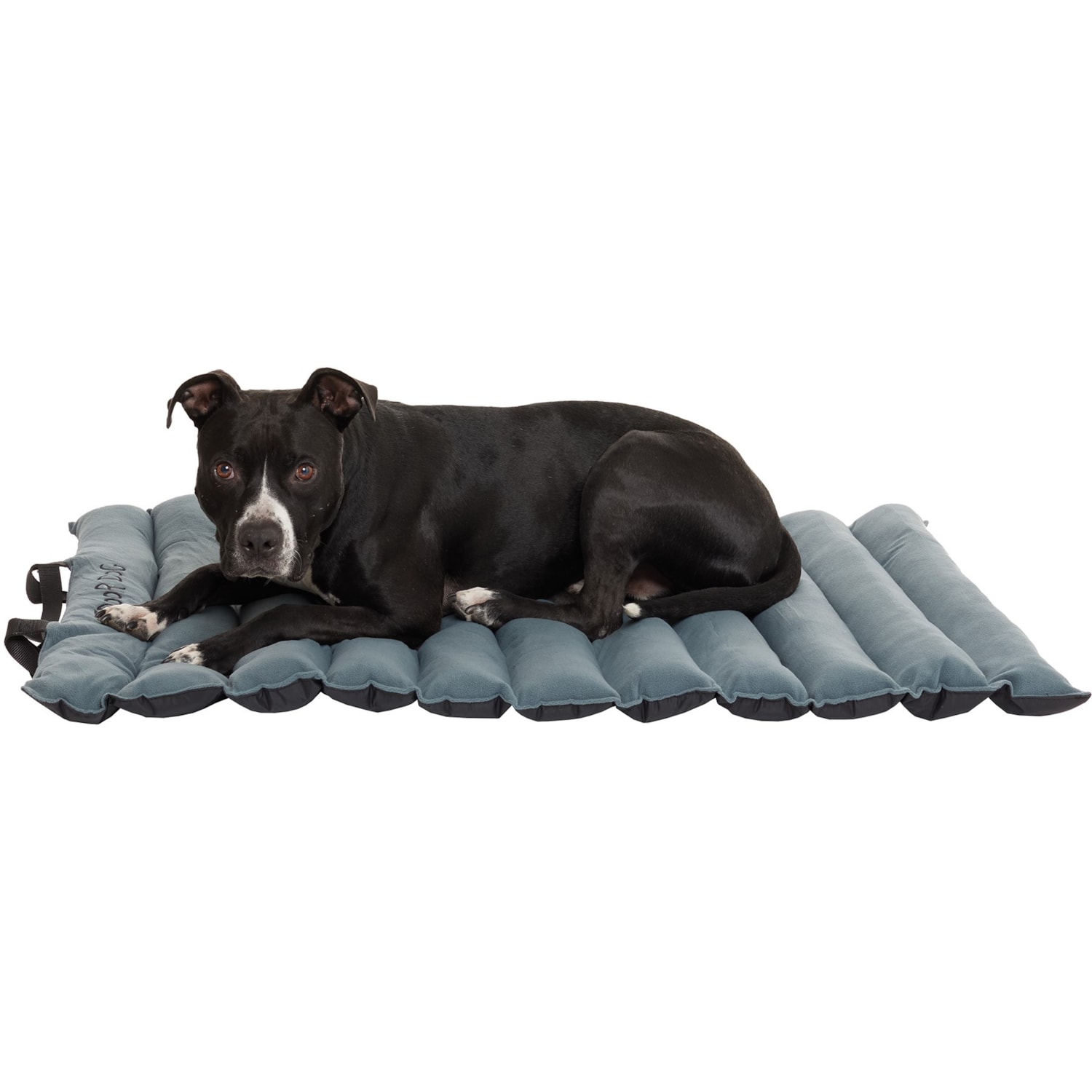 Outdoor Dog Roll-Up Travel Dog Bed - Large, 45x33” - Save 42%