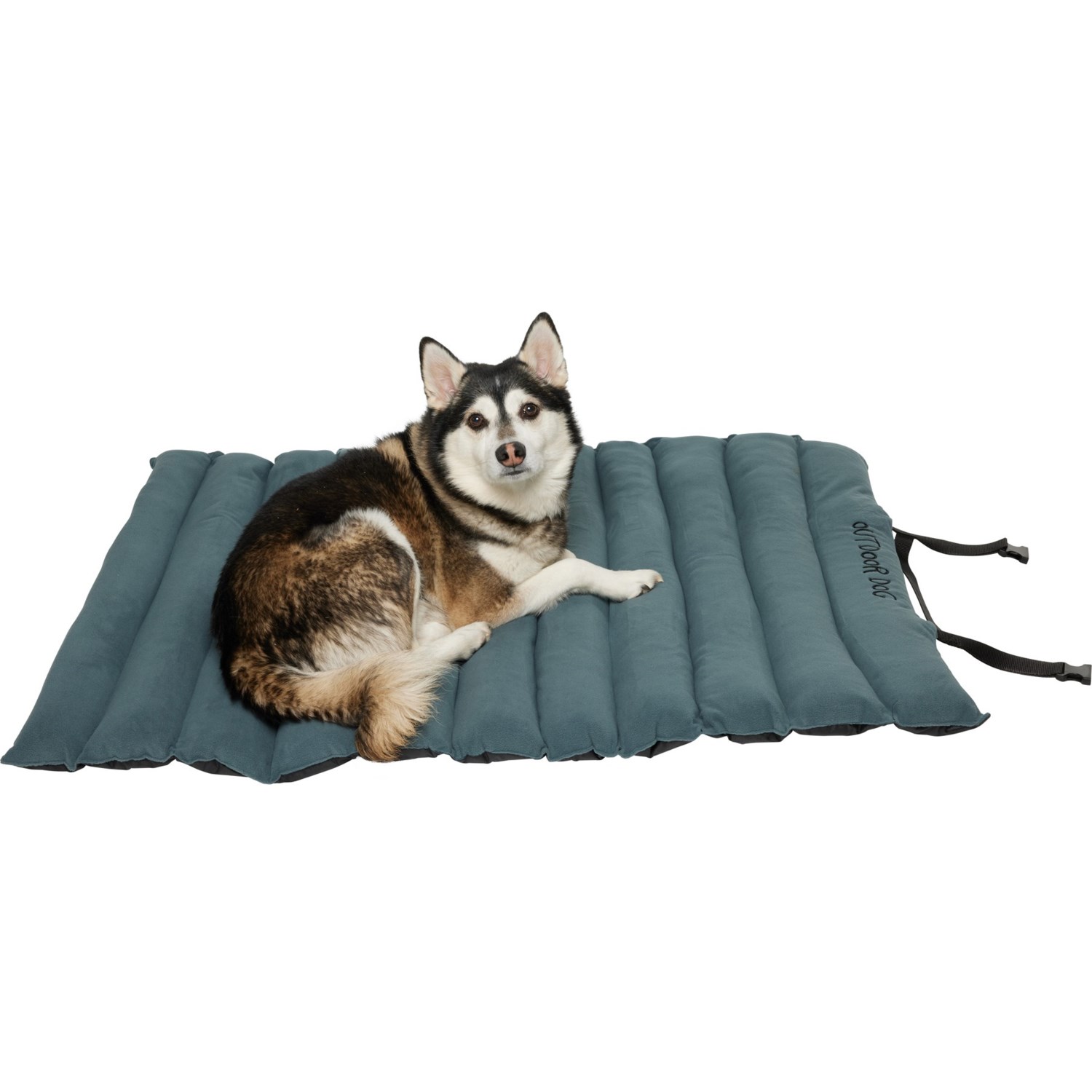 Outdoor Dog Roll-Up Travel Dog Bed - Large, 45x33” - Save 42%