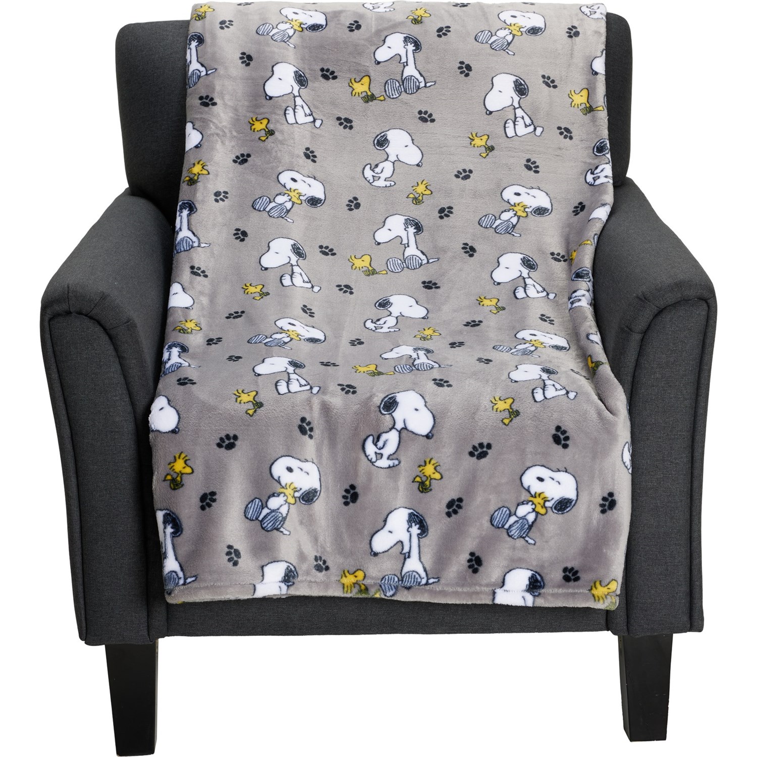 Peanuts Snoopy and Woodstock Fleece Throw Blanket - 60x70” - Save 46%