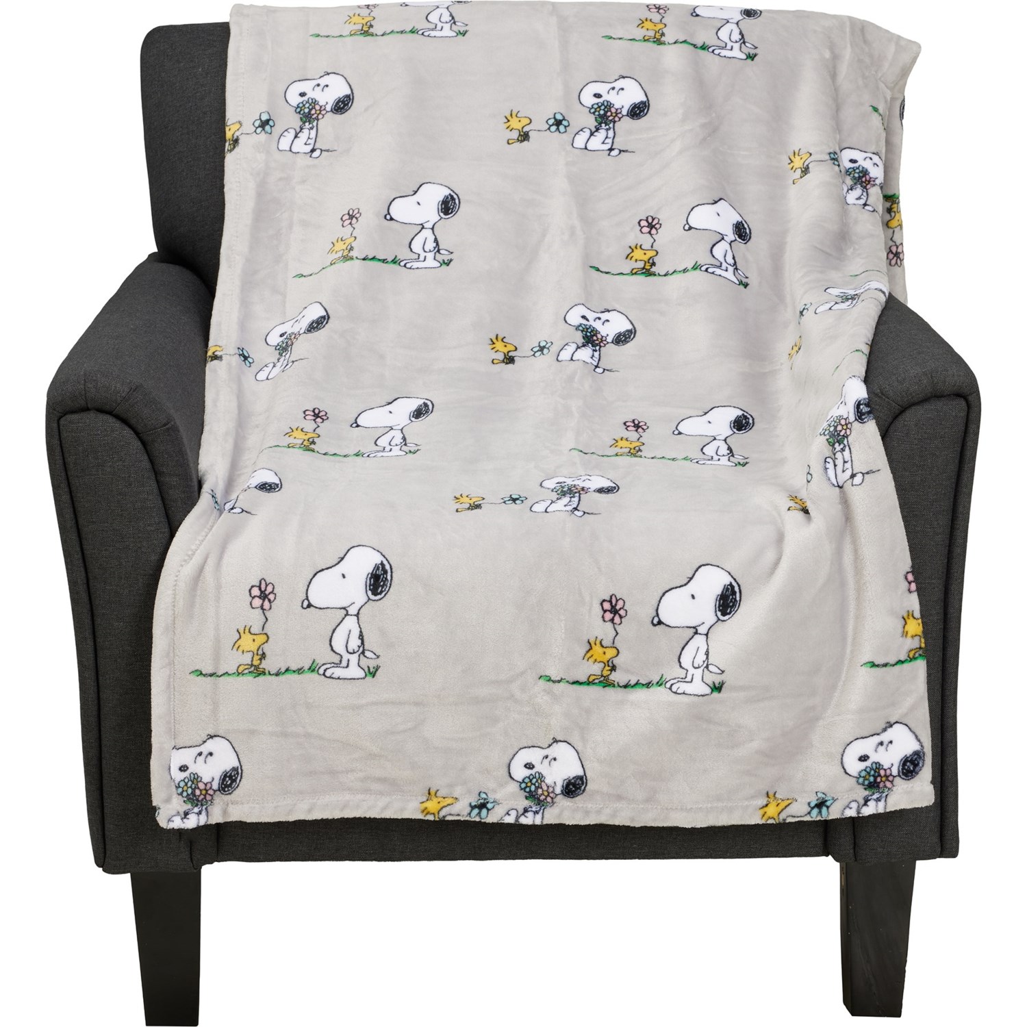 Peanuts Snoopy and Woodstock Spring Air Fleece Throw Blanket - 60x70” - Save 52%