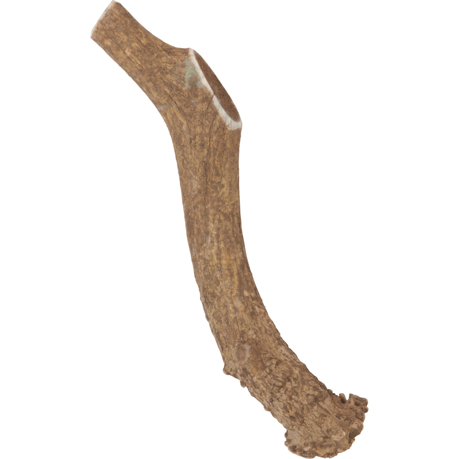 Prairie Dog Antler Dog Treat - Large - Save 33%