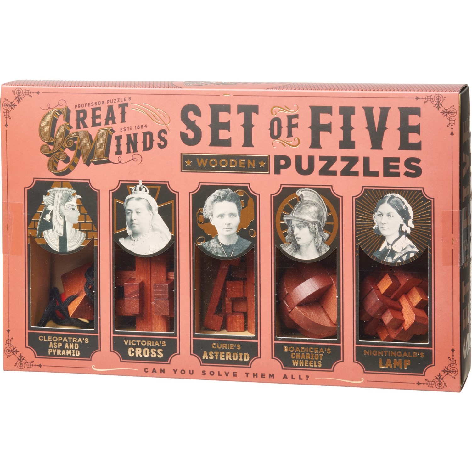 Professor Puzzle Women Great Minds Puzzles - Set of Five - Save 53%