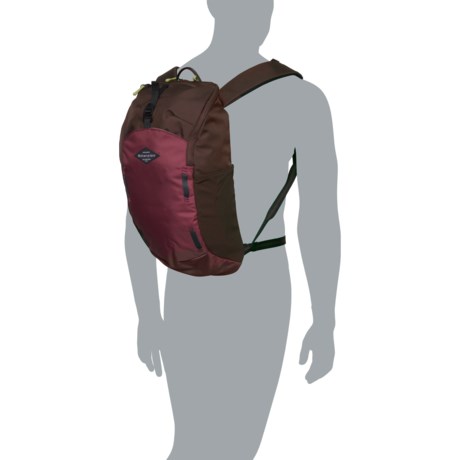 Sherpani Switch 15 L Backpack (For Women) - Save 38%