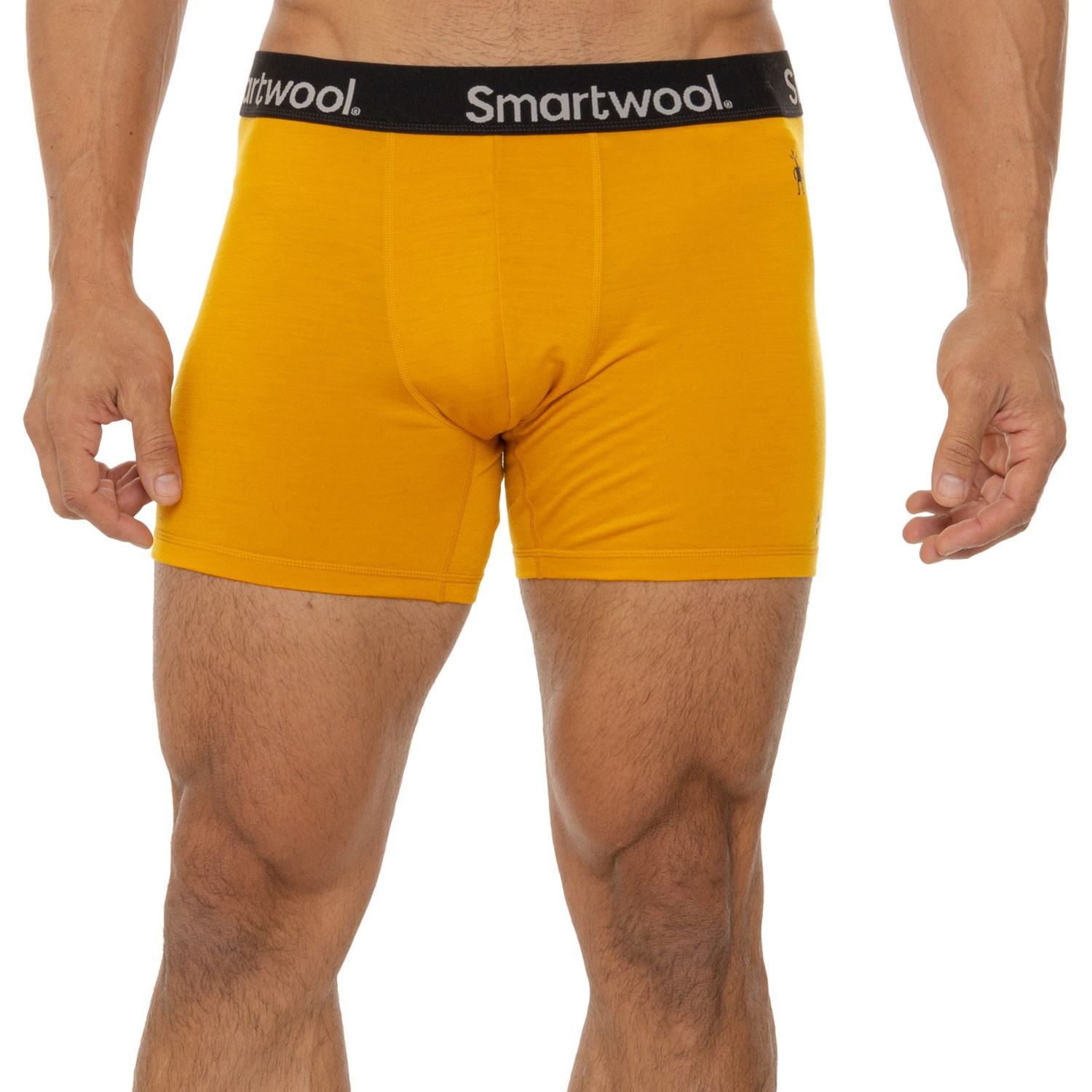 SmartWool Everyday Boxer Briefs - Merino Wool