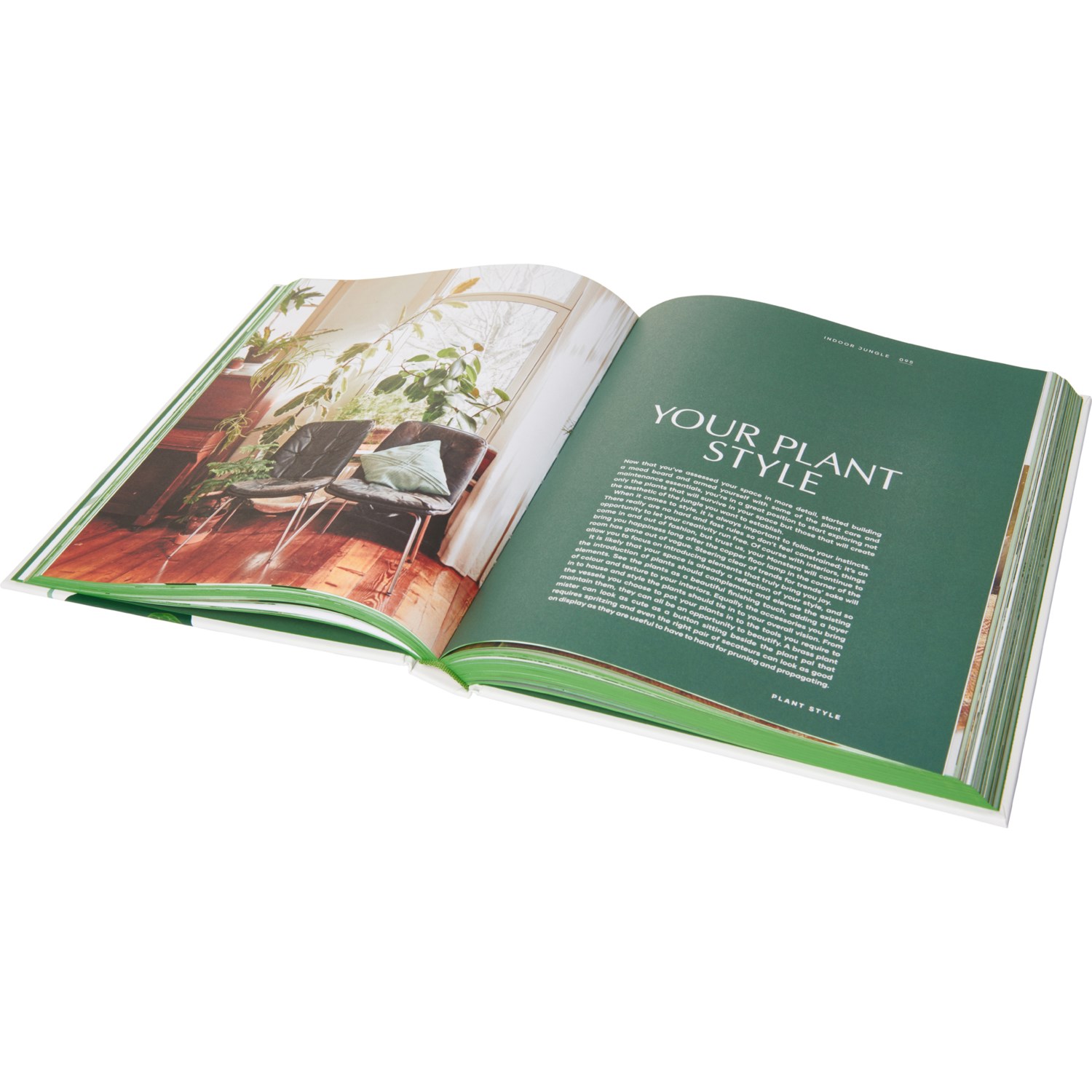 Smith Street Books Indoor Jungle Book - Hardcover - Save 48%