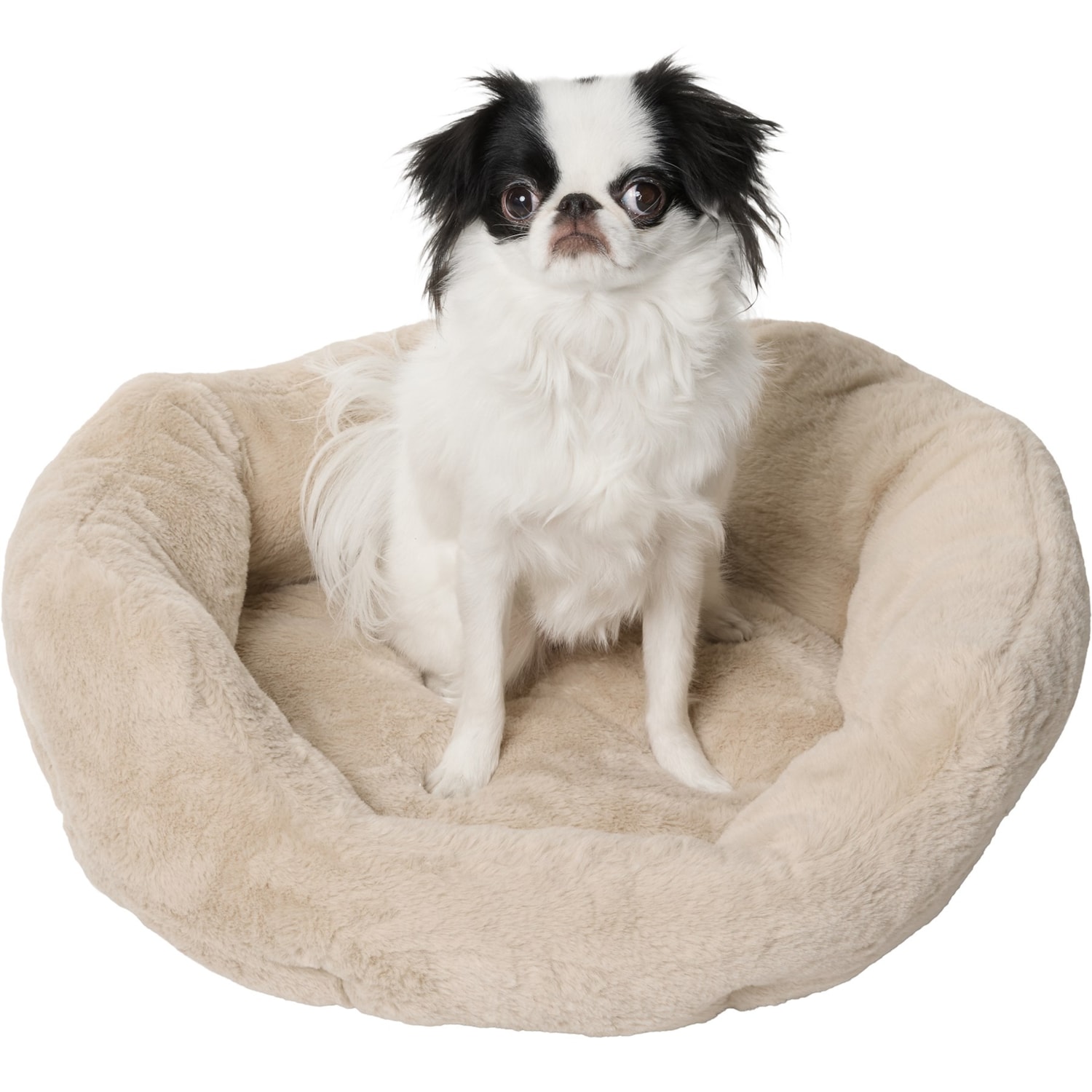 Snooze Paws Cloud Plush Lounge Pet Bed - 21x19x9" - Save 52%