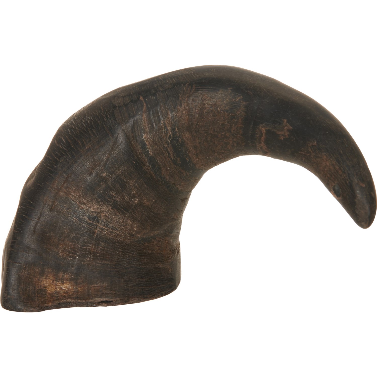 Spunky Pup Water Buffalo Horn - Medium - Save 27%