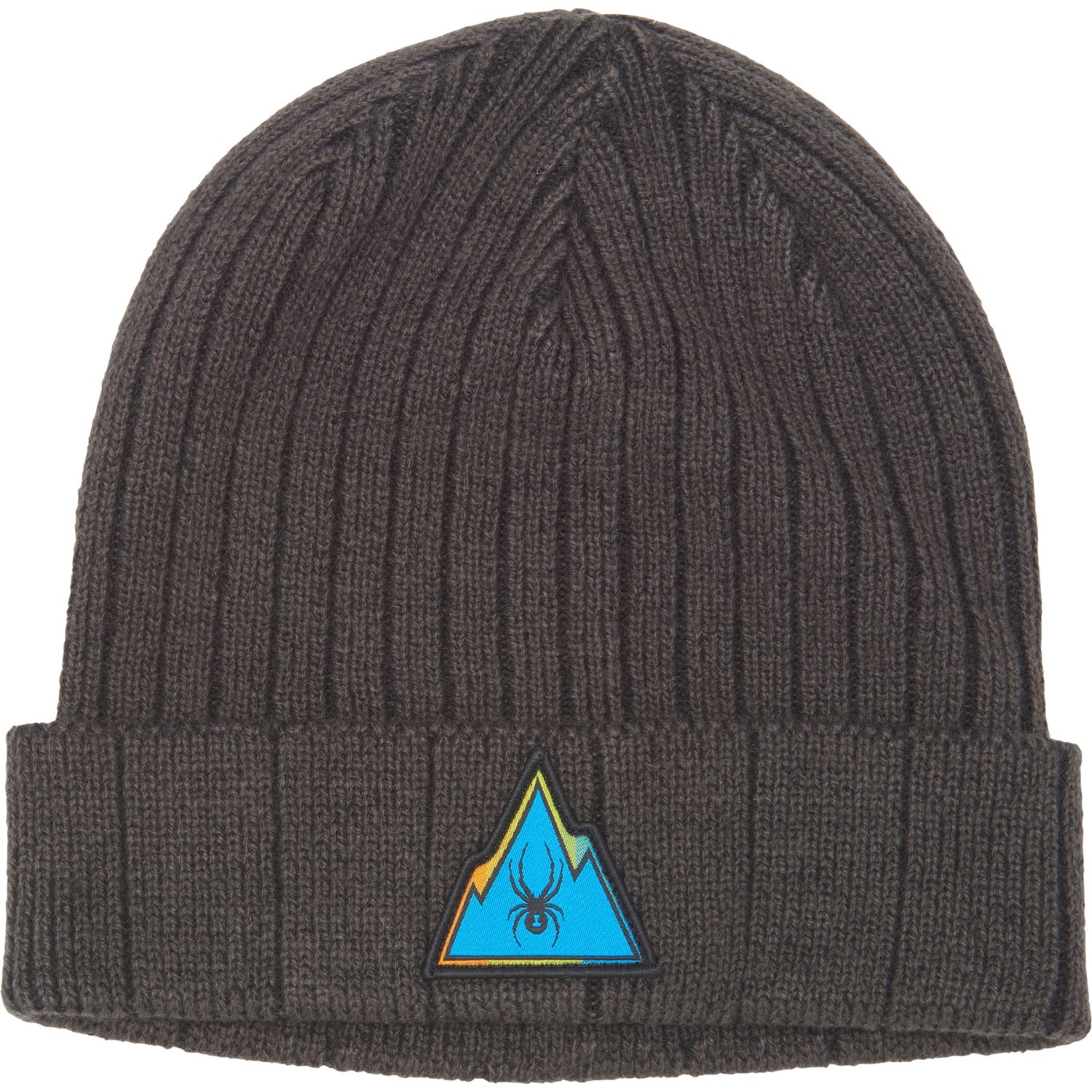 Spyder Beanie (For Big Boys)