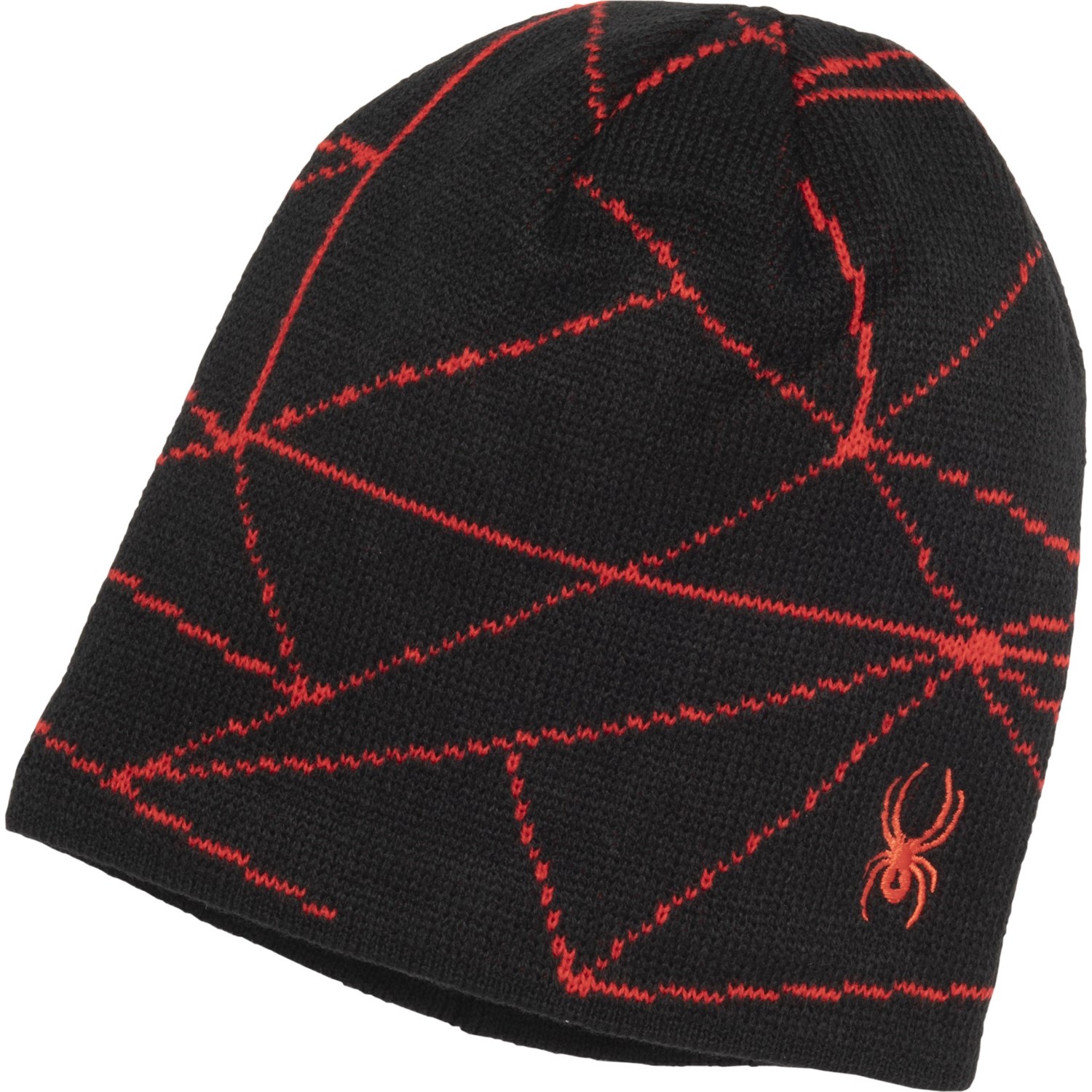 Spyder Web Beanie (For Big Boys)