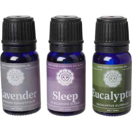 Oil average savings of 37% at Sierra